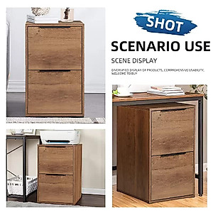 LUCYPAL Wooden File Cabinet 2 Drawer,Vertical Storage Filing Cabinet with Hanging Bars for Letter Size,File Storage Cabinet Used for Home Office, Brown