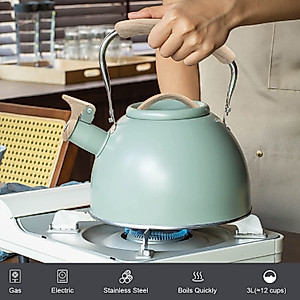 3.2 Quart Whistling Tea Kettle for Stove Top Stainless Steel Tea Pots With Wood Pattern Anti-slip Handle, Green…