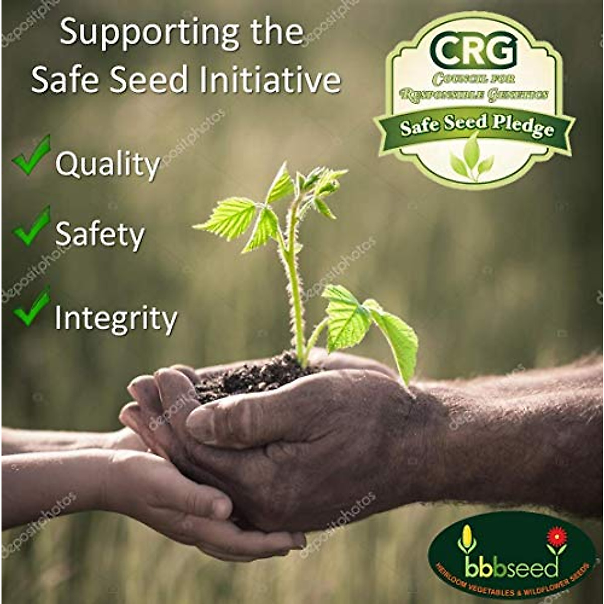 Partial Shade Wildflower Seeds Bulk - Open-Pollinated Wildflower Seed Mix Packet, No Fillers, Annual, Perennial Wildflower Seeds Year Round Planting - 4 oz