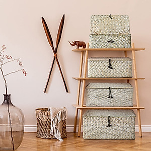 Woanger Set of 4 Seagrass Basket with Lids Rattan Wicker Storage Basket Handwoven Decorative Storage Boxes with Lids Multipurpose Woven Basket Bins for Shelf Closet (White)