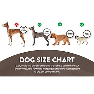 WhiteTail Naturals - Bulk Deer Antlers for Dogs (1 Pound Pack) Antler Chews - Naturally Shed, Long Lasting Dog Bones for Aggressive Chewers.