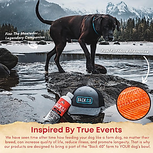 BACK 40 Dogs Wild Alaskan Fish Oil for Dogs, Skin and Coat Supplement for Dogs & Cats, Omega-3-Rich Salmon and Pollock Oil, EPA & DHA Dog Salmon Oil for Brain, Heart, and Joints 32 fl oz