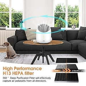 OSIMO A2 Air Purifier Replacement Filter