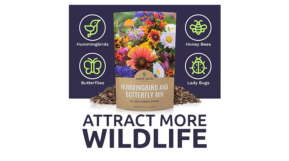 Bulk Wildflower Seeds for Butterflies & Hummingbirds - 1/4 lb