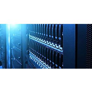 Western Digital WD Gold 16 To (WD161KRYZ)