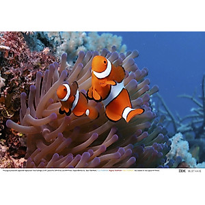 IBM Remanufactured Toner Cartridge - Alternative for HP 312A (CF381A)