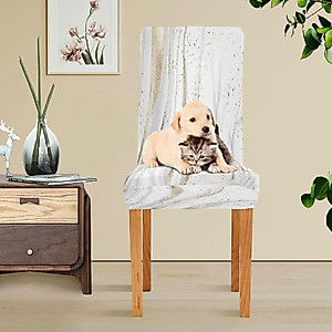 Kcldeci Dining Chair Covers, Gray Marble Canvas Gold Texture Kitchen Cover Parsons Slipcover Spandex Protectors for Room Kitchen Home Stretch Chairs Cover Set of 4