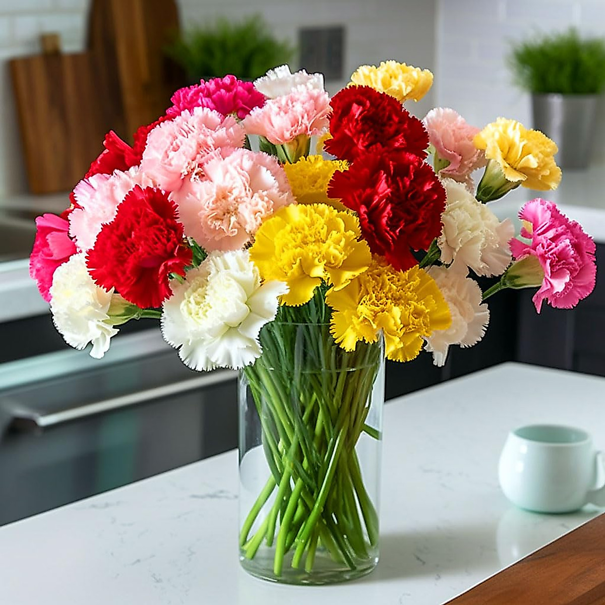 Fresh Flowers- 100 Assorted Carnations- Lovely Gift (OM)