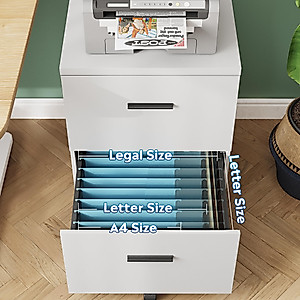 DEVAISE Wood File Cabinet, 2 Drawer Filing Cabinet for Home Office, Vertical File Cabinets with Wheels fits A4/Letter/Legal Size File, White