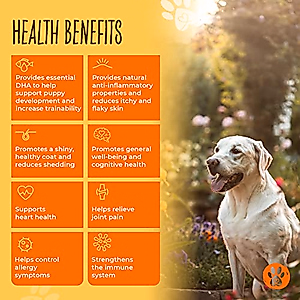 Omega-3 Fish Oil for Dogs by Pawsomely Healthy - High in EPA, DHA - Allergies, Itching, Shedding - Supports Immune System, Skin, Coat, Heart, Joints - 90 Powder Capsules