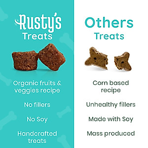 Premium Dog Allergy Relief & Immune Support (170 Chews) - Colostrum - Dog Probiotics - Promote A Healthy Gut - Support Against Seasonal Allergies - With Alaskan Salmon Oil - Turmeric - Made in The USA