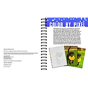 Brain Games - Pixel Pictures: 104 Pictures to Color by Squares