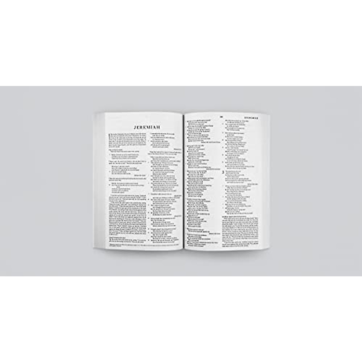 ESV Economy Bible