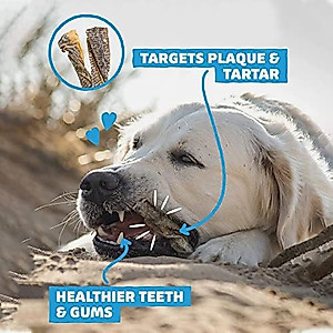 SKIPPER'S Cod Fish Skin Twists Dog Chews - 100% Fish Skin Grain Free Treats for Dogs, High in Protein & Low in Fat, Essential Omega 3 Oils | Great for Teeth (Short, 2.5 Oz)