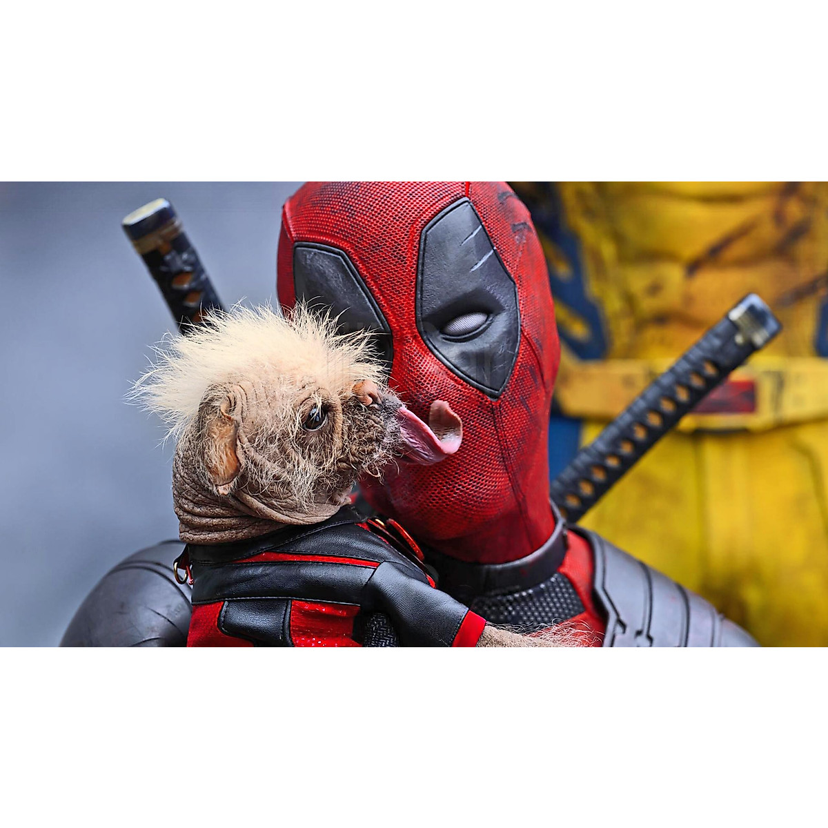 Deadpool & Wolverine [4K UHD]