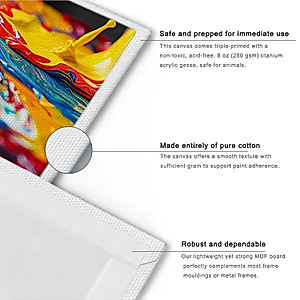 AETEXA Canvases for Painting 8x10 Inch, Canvas Bulk Pack of 12, 8 oz Primed Canvas Panel, Blank Canvas for Painting, Canvas Boards for Painting Acrylic and Oil, Art Supplies for Adults and Teens.