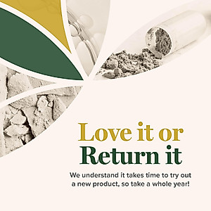 Global Healing Quercetin 250mg Supplement to Support Immune System Function, Respiratory Health & Body's Response to Occasional Allergies -Quercetin Supplements Without Bromelain & Zinc-60 Capsules