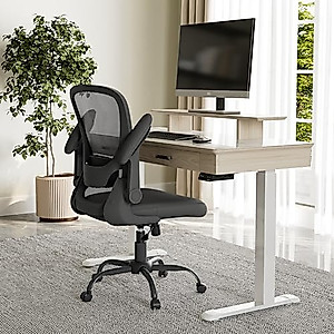 EUREKA ERGONOMIC Mesh Office Chair, Ergonomic Desk Chair with Adjustable Lumbar Support, Chair for Desk - Flip-Up Armrests, Breathable Computer Desk Chair with Wheels, Work Chair - BIFMA Passed(Black)