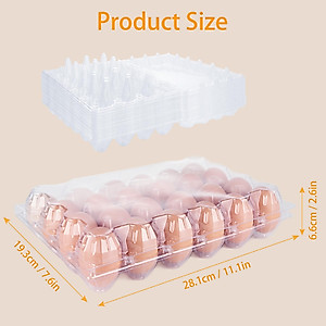 Oungy 36 PCS Plastic Egg Cartons Cheap Bulk 24 Count Clear Blank Egg Cartons with Free Labels Holds up to 24 Eggs Securely Reusable Egg Carton for Family Pasture Chicken Farm Market Display, 4x6 Grids