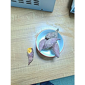 BlueNatHxRPR 0.95 MFD uF Microwave Capacitor Compatible for GE WB27X10968 and Others