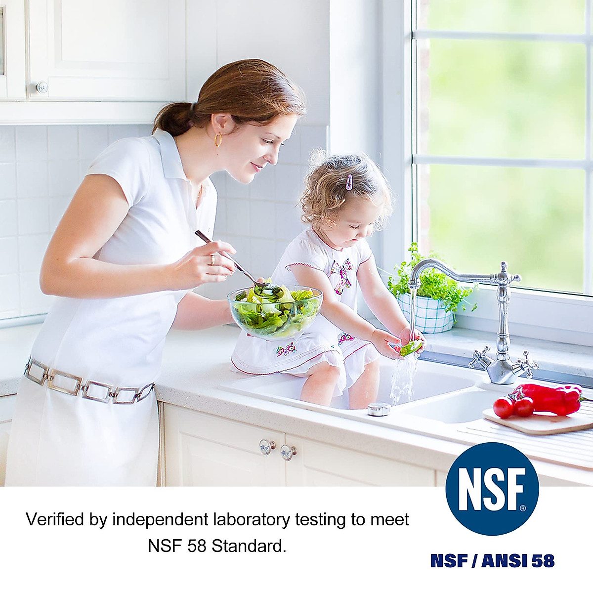 100 GPD RO Membrane with Reverse Osmosis Membrane Housing Set (1 Set) & 100 GPD RO Membrane (1 Pack), Reverse Osmosis Filter Replacement Kit, RO Membrane Housing Set for Maple Syrup RO System