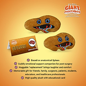 GIANTmicrobes Spleen Plush, Spleen Stuffed Animal, Stuffed Spleen, Spleen Removal, Spleen Funny, Spleen Pillow, Spleen Plush Toy, Stuffed Spleen Plush, Plush Spleen, Spleen Toy, Spleen Surgery Gifts