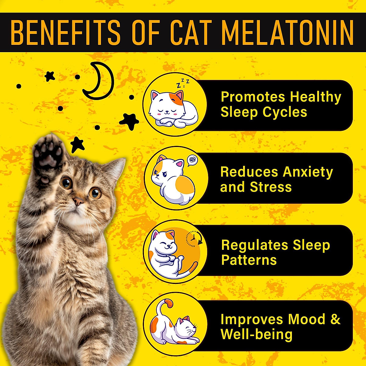 Cat Melatonin Drops 60ml Salmon Flavor, Melatonin for Cats to Sleep, Cat Calming Treats, Cat Calming Products, Cat Sleep Aid, Cat Anxiety Relief, Cat Travel Anxiety Relief for Cats