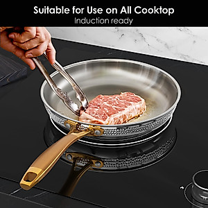 Homaz life Stainless Steel Pots and Pans Set, Tri-Ply Hammered Kitchen Cookware with Glass Lids, Induction Compatible, Non-Coated, Non-Toxic, 10-Piece