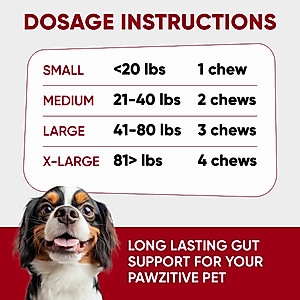 Probiotics for Dogs Digestive Health - Probiotic Chews for Gut Health, Itchy Skin Yeast, Diarrhea - USA Product - Immune Support Supplement - Dog Digestive Support Chewable Probiotic & Enzymes