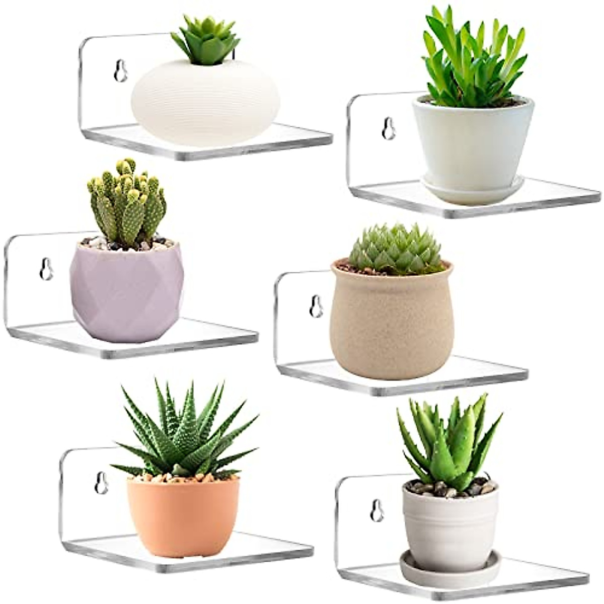 Fasmov 8 Pack Small Wall Shelves, Acrylic Display Ledges for Mini Decor, Display Shelf Floating Wall Mounted Shelf for Bedroom, Living Room, Bathroom