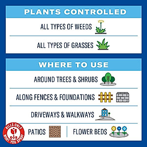 BioAdvanced Weed & Grass Killer, 64-Ounce, Super Concentrate