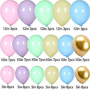 Princess Balloons Arch Garland Kit - 111pcs Princess Birthday Party Decorations With Princess Foil Balloons for Girl Birthday Party Supplies