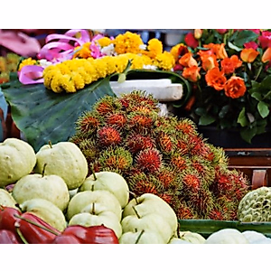 Sony Cyber-Shot DSC-W810 Digital Camera - International Version (No Warranty)