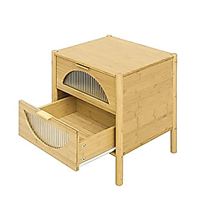 End Table with 2 Drawers, Bamboo Mid Century Modern Bamboo Bedside Table Night Stand with Drawer and Storage Shelf for Bedroom, Solid Wood End Table Side Table for Living Room, Easy Assembly