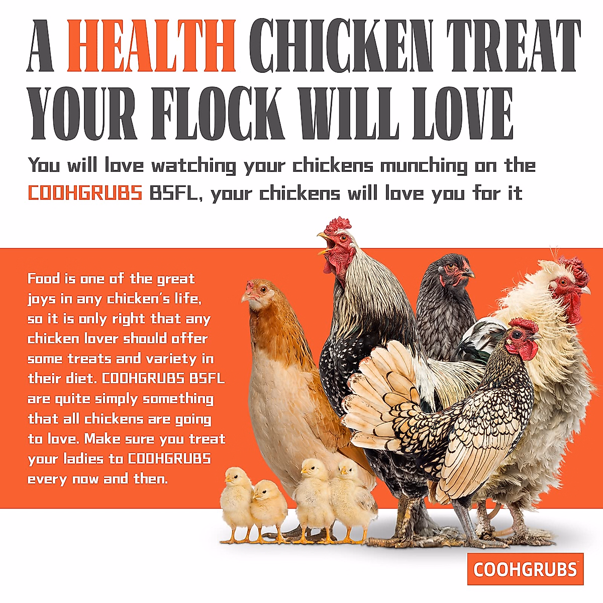 COOHGRUBS Premium Grade Dried Black Soldier Fly Larvae Chicken Treats, Tasty and Healthy Snacks for Hens Ducks, 5 lb. Box