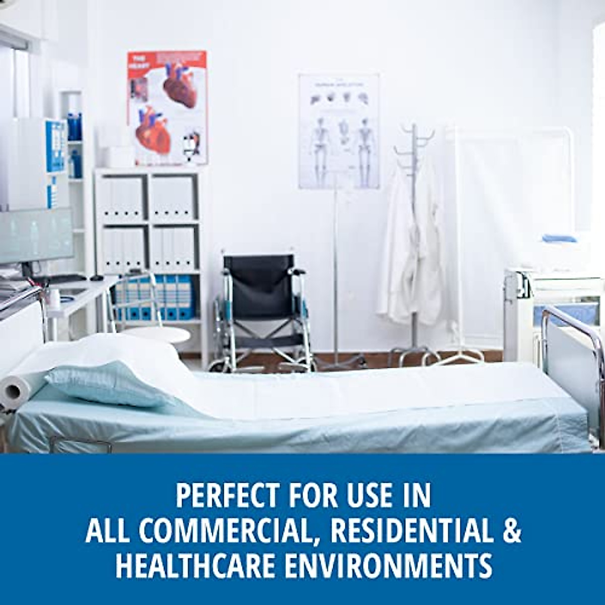 ProBio OdorOut Professional (16floz)