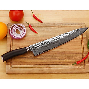 YOUSUNLONG Gyuto 10 inch Pro Chef's Knives Japanese Hammered Damascus Natural Leadwood Handle with Leather Sheath