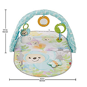 Fisher-Price Butterfly Dreams Musical Playtime Gym [Amazon Exclusive]