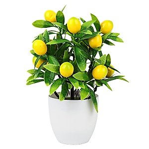 WIVAYE Artificial Lemon Tree Plant Decor, 9.65 Lemon Tree Indoor Plant, Artificial Flowerpot Lemon Bonsai for Office Table Stair Balcony Garden Home Decor, 3.74 x 9.65inch
