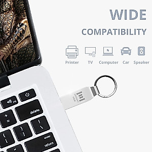 MOSDART 64GB Waterproof Metal USB 2.0 Flash Drive - Keychain Thumb Drive Memory Stick Jump Drive Data Storage for Computers - exFAT, Shockproof and Dustproof (Silver)
