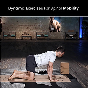 Better Back Yoga - Gentle Yoga To Prevent and Alleviate Chronic Back Pain | 2 Part System To Help You Feel Better, Move Better, and Live Better | Bonus 10 Min Routine For Quick Back Pain Relief