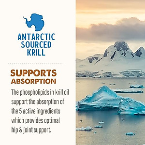 GRIZZLY PET PRODUCTS Joint Aid for Dogs Liquid Hip and Joint Support (Extra Strength), 16 fl oz