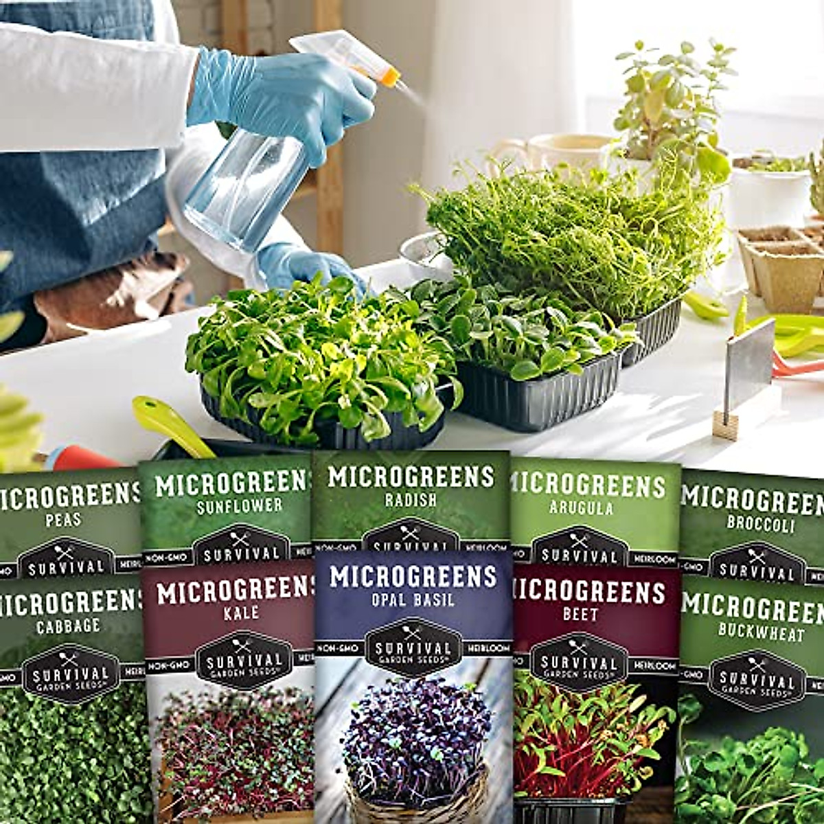 Survival Garden Seeds Microgreens 10 Pack - Instructions to Plant, Sprout, and Grow a Mix of Microgreen Plants - Arugula, Broccoli, Radish, Pea, Sunflower, Basil, Cabbage, Buckwheat, Kale, Beet Seed