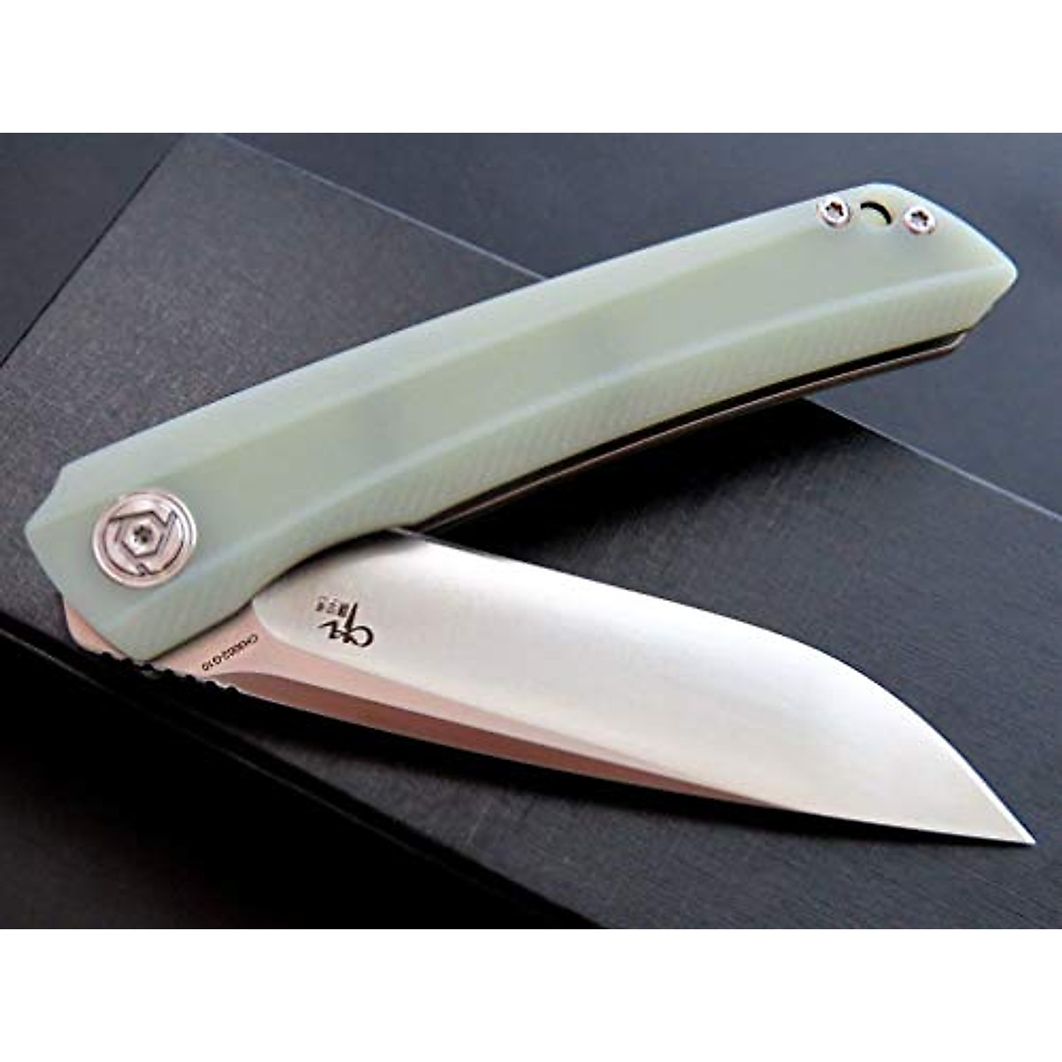 Eafegrow CH3002-G10 Folding Camping Knives 3.7 inch D2 Blade and G10 Handle Pocket Knives Outdoor Hunting Knife Tactical Folding Knives (jade)