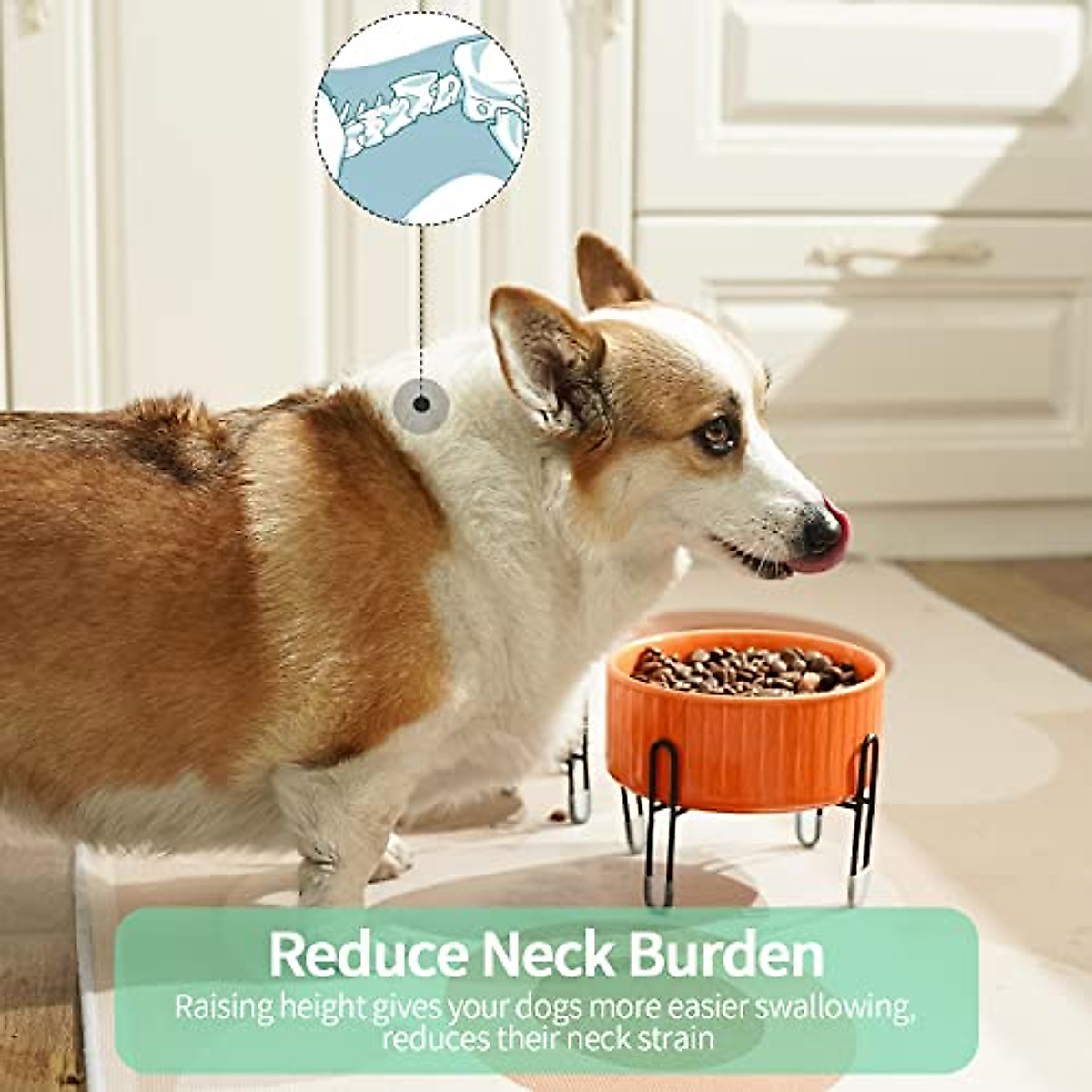 OMAYKEY 32 OZ Ceramic Elevated Dog Bowls with Metal Stand, Raised Cat Bowl Set for Food and Water, Pet Feeder Bowl Dish for Cats & Dogs, Non-Slip, Dishwasher Safe, White & Orange