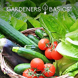 Survival Garden Heirloom Seeds, Victory Garden Seeds - 35 Varieties, 17,000+ Vegetable and Fruit Seeds for Planting Great Emergency Preparedness Items and Bugout Bag Supplies Gear by Gardeners Basics