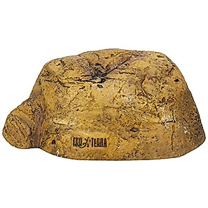 Exo Terra 0015561229319 1 Reptile Cave - Medium, Multicolor