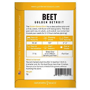 Beet Seeds for Planting Golden Detroit Heirloom Non-GMO Golden Beets Plant Seeds for Home Garden Vegetables Makes a Great Gift for Gardeners by Gardeners Basics
