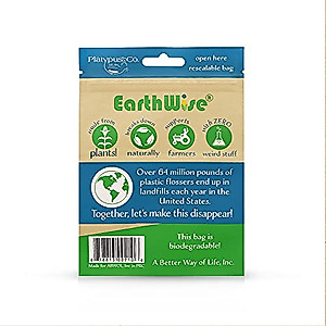 Earthwise Natural Biodegradable Dental Flossers - 50 ct (3 Pack) - Eco-Friendly, Vegan, Sustainable, Compostable, Unflavored, Shred Resistant, Zero Waste Floss Picks - Made with Plant Based Materials
