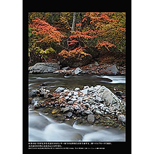 OLYMPUS Mirrorless DSLR OM-D E-M1X Body